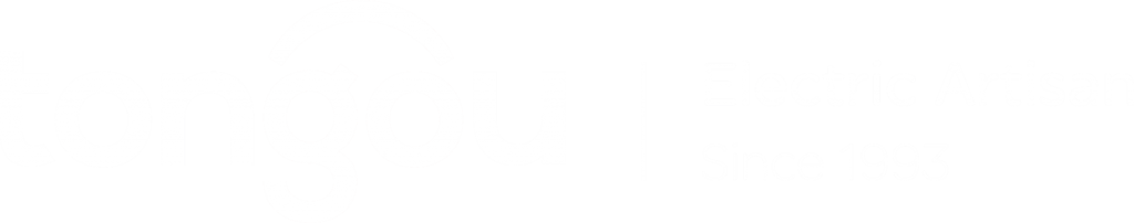 Un Guide Complet sur les Contacteurs - TONGOU Electrical